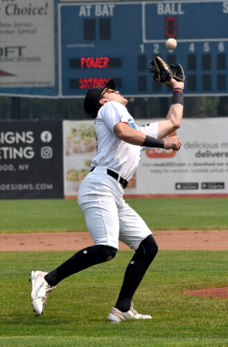 Tarp Skunks game postponed | News, Sports, Jobs - Times Observer